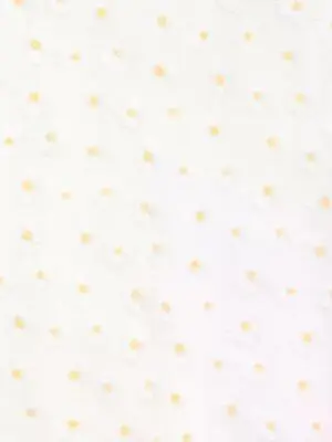 LUISA CERANO Floral-appliqué Midi Dress