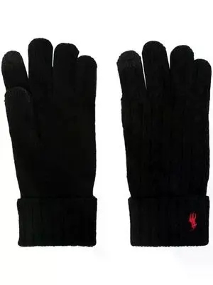 Polo Ralph Lauren Polo Pony Glove And Scarf Set