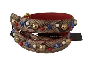 Dolce & Gabbana Python Leather Studded Shoulder Strap - Brown