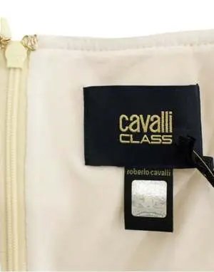 Roberto Cavalli Lace Sheath Dress