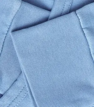 Polo Ralph Lauren Cotton Loopback Fleece Hoodie - Blue