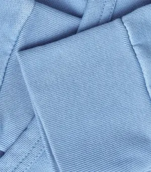 Polo Ralph Lauren Cotton Loopback Fleece Hoodie - Blue