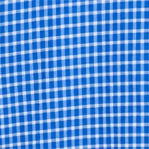 Loewe X Paula’s Ibiza Check Anagram Shirt - Blue