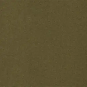 Loewe X Paula's Ibiza Cargo Shorts - Green