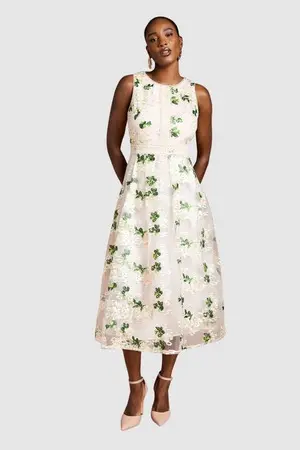 Coast Embroidered Mesh Lace Midi Dress - Blush