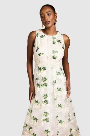 Coast Embroidered Mesh Lace Midi Dress