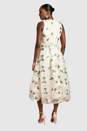 Coast Embroidered Mesh Lace Midi Dress