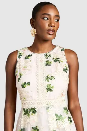 Coast Embroidered Mesh Lace Midi Dress