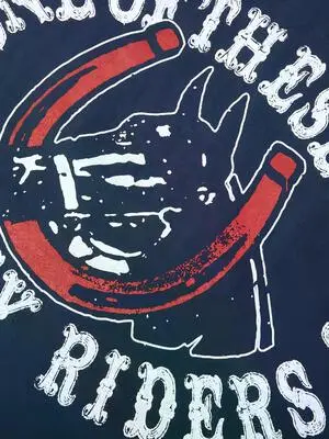 ONE OF THESE DAYS Valley Riders T-shirt - Blue