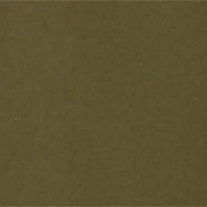 Loewe X Paula's Ibiza Cargo Shorts - Green