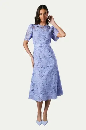 Coast Lace Dresses