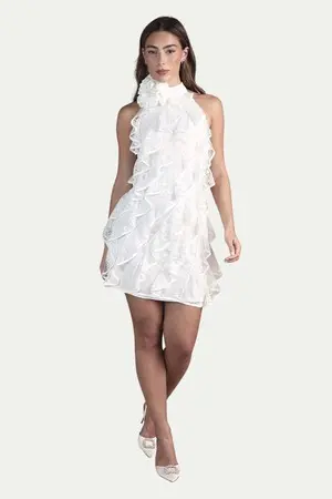 Coast Lace Frill Mini Dress