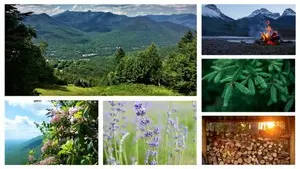AERANGIS No. 32 Loon Mountain Scented Candle