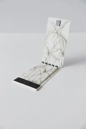 AERANGIS Collectible Hand-illustrated Long Stem Matchbooks