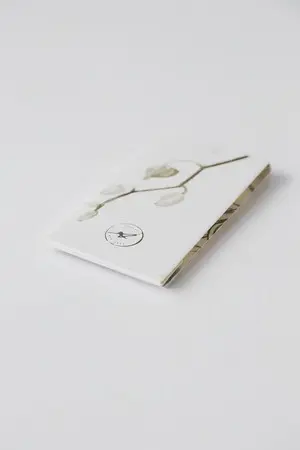 AERANGIS Collectible Hand-illustrated Long Stem Matchbooks