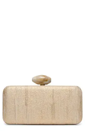 Dolce Vita Metallic Frame Clutch