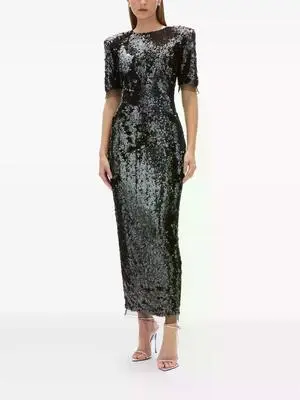 Rachel Gilbert Kaia Sequin Sleeve Dress