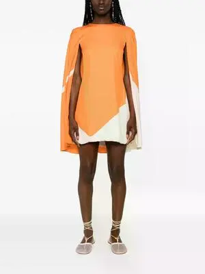 Alberta Ferretti Graphic-print Mini Dress
