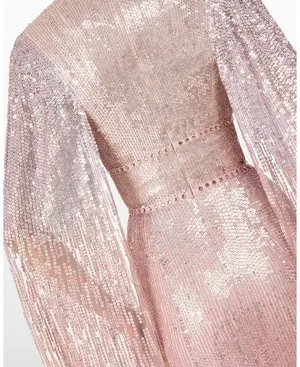 Jenny Packham Sequin-embellished Maxi Gown - Sugar