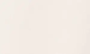 Cami Nyc Hudson Wide-leg Tencel Lyocell Pants