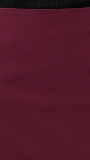 Azeeza Blair Miniskirt - Wine