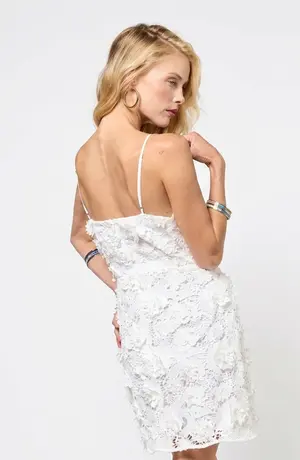 BTB LOS ANGELES Susan 3d Floral Lace Mini Dress