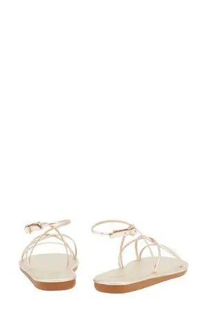 ANCIENT GREEK SANDALS Pixida Strappy Sandal - Platinum