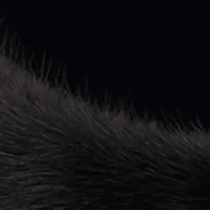 Saint Laurent Mink Fur Sandals