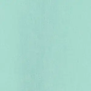Polo Ralph Lauren Traveller Swim Shorts - Green