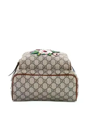 Gucci Zip Pocket Embroidered Gg Coated Canvas Small Backpack - Brown