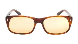 StÜssy Michael Sunglasses - Tortoise/brown Lens