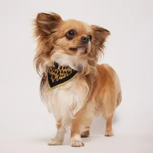 Gucci Extra-small Reversible Pet Bandana