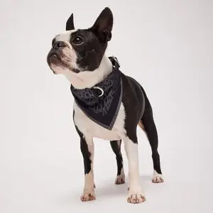 Gucci Small/medium Reversible Pet Bandana