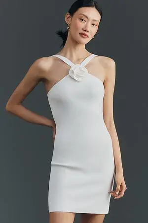 Endless Rose Halterneck Cocktail Dresses