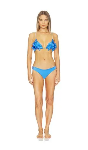 ANCORA Aria Bikini Bottom