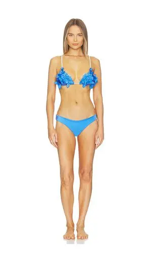 ANCORA Aria Bikini Top