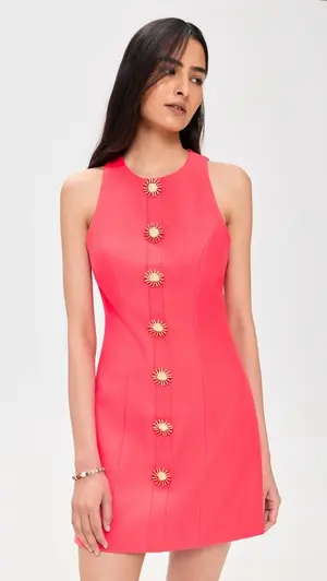 THE WOLF GANG Pinsa Mini Dress
