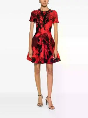 Alexander McQueen Crew-neck Mini Dress - Red