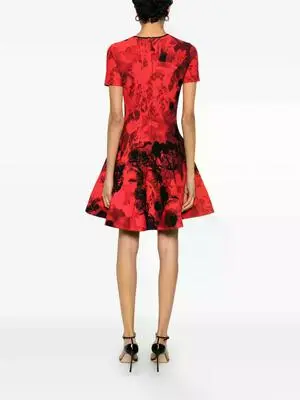 Alexander McQueen Crew-neck Mini Dress - Red