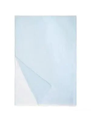 Loro Piana Unique Stole Fringed Scarf - Blue