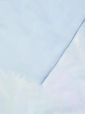 Loro Piana Unique Stole Fringed Scarf - Blue