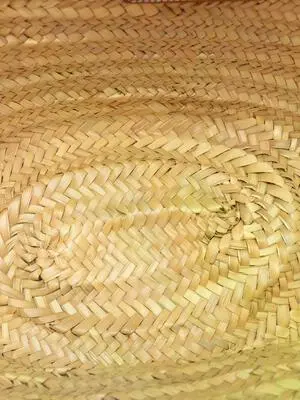 Celine 2019 Medium Raffia Gridded Classic Panier Tote Bag