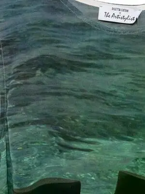 The Artistylist Dolphin-print Top