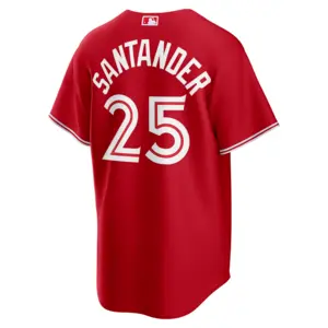 Nike Anthony Santander Jersey