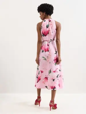 PHASE EIGHT Bethany Halter Midi Dress