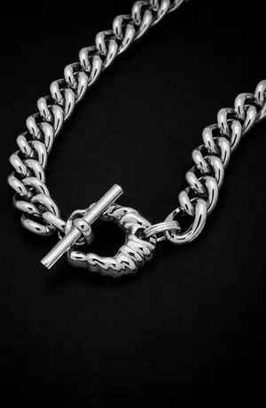 YOJ Cora Curb Chain Necklace