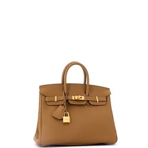 Hermès Birkin 25 Handbag Togo With Gold Hardware - Bronze Dore
