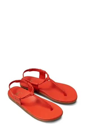 Beek Mango Ankle Strap Sandal