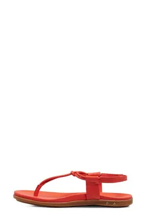 Beek Mango Ankle Strap Sandal