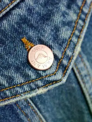 Emporio Armani Button-up Denim Jacket
